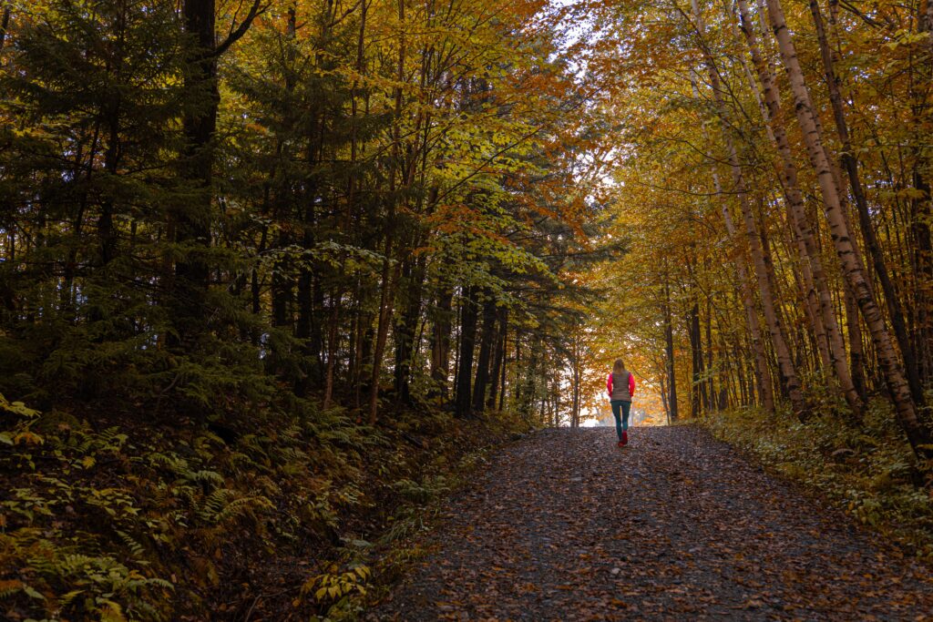 Southern Vermont Deerfield Valley | Visit Vermont