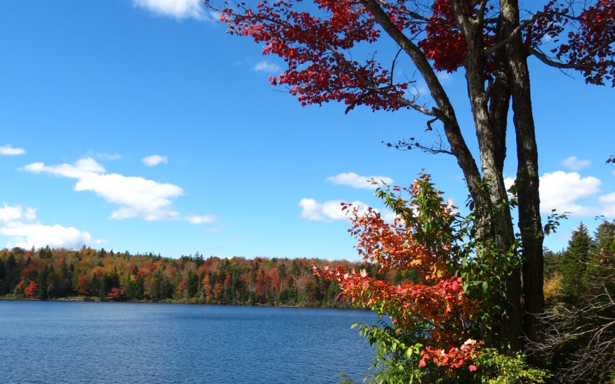 Scenic Views in the Deerfield Valley - SVDV Chamber of Commerce