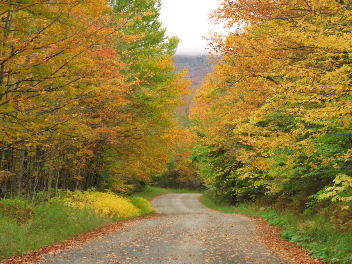 Visit Southern Vermont - Deerfield Valley