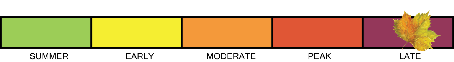 Fall Foliage Tracker - Deerfield Valley