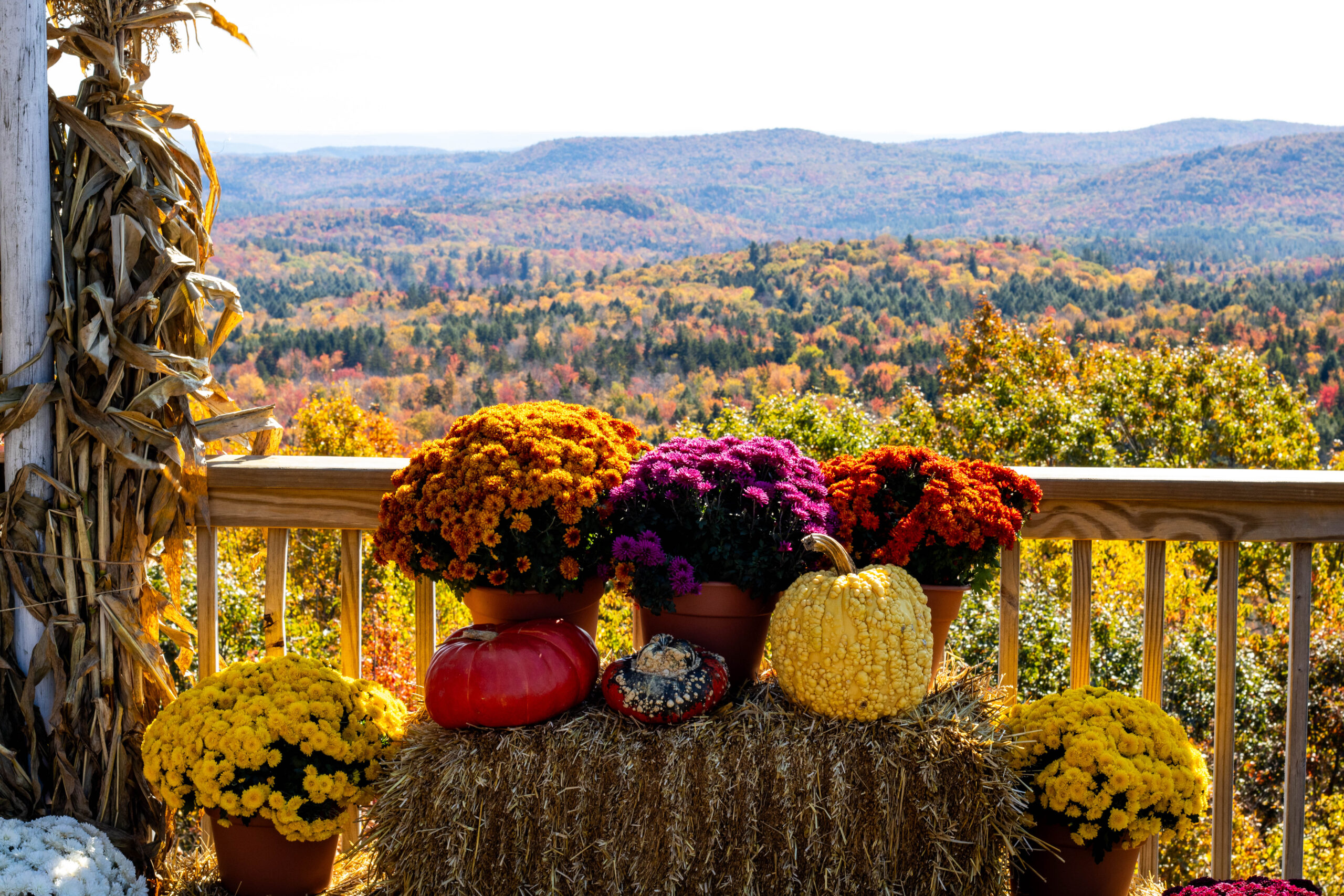 Foliage in Southern Vermont - SVDV Chamber of Commerce