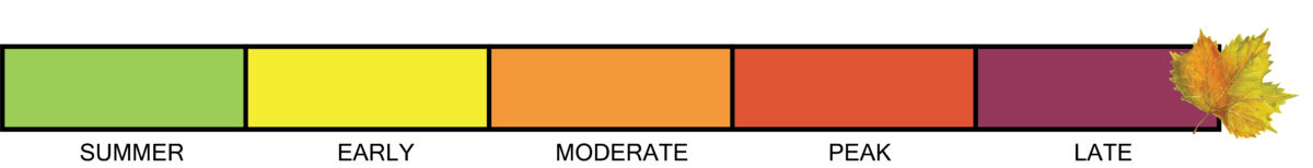 Fall Foliage Tracker - SVDV Chamber of Commerce
