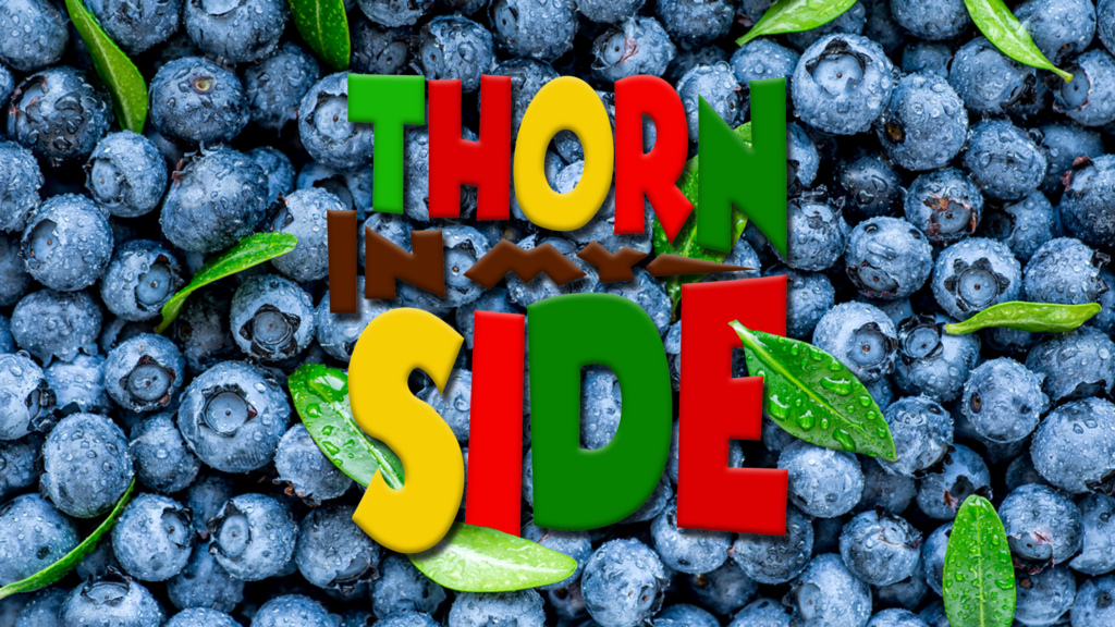 Laugh Til You're Blue Comedy Show Featuring "A Thorn in My Side" - SVDV ...