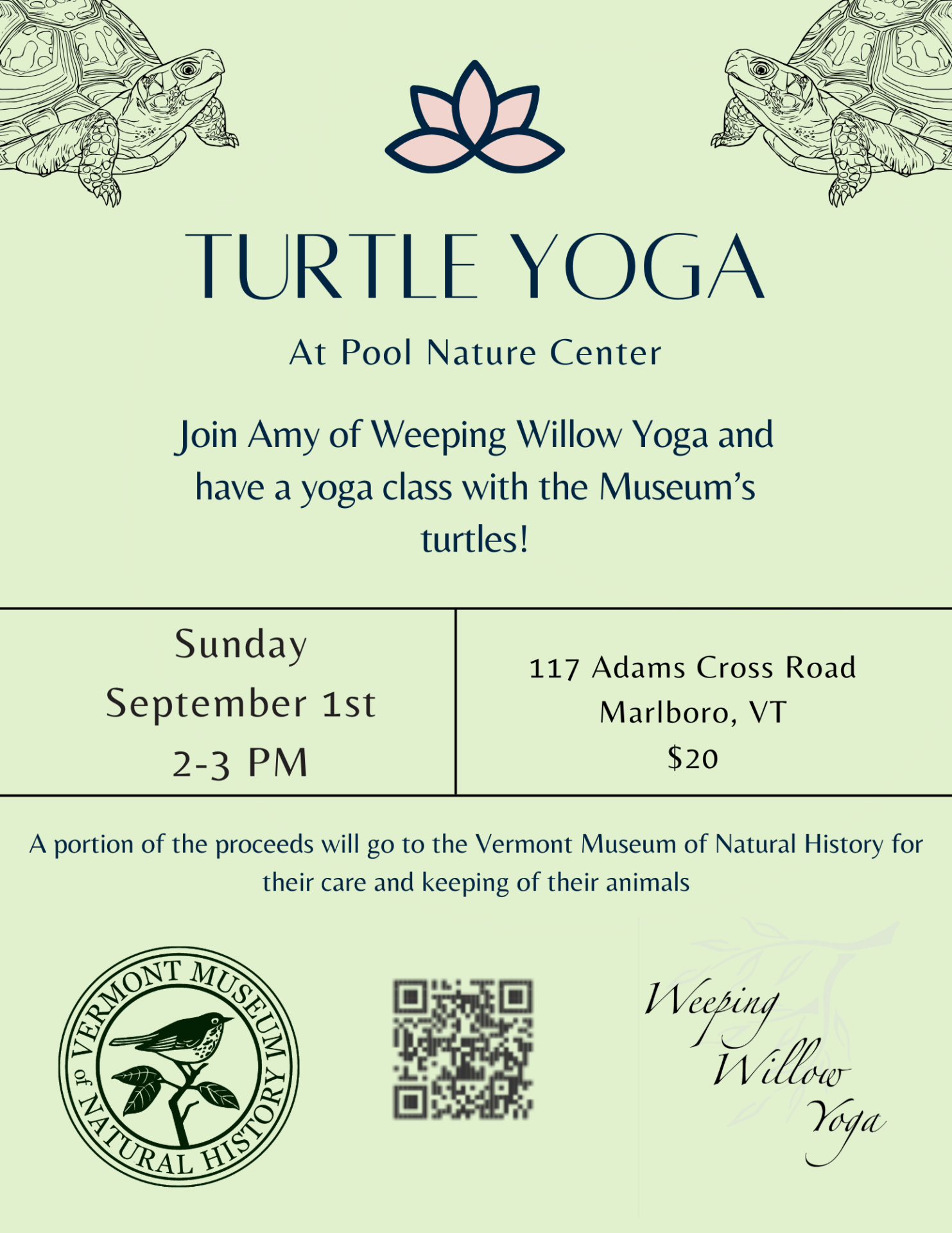 Turtle Yoga at Pool Nature Center - SVDV Chamber of Commerce