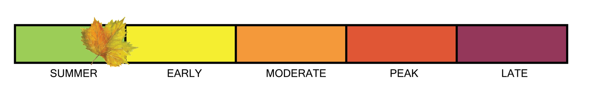 Fall Foliage Tracker - SVDV Chamber of Commerce