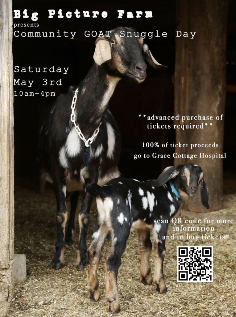 Big Picture Farm Goat Snuggles - SVDV Chamber of Commerce
